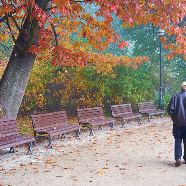 WA Seniors Card: Benefits, discounts and how to apply