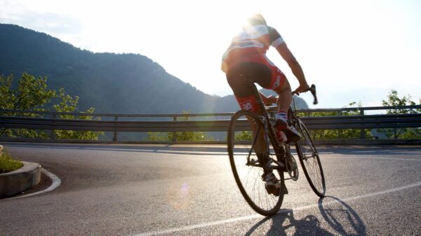 Vanguard Super guide: Performance, fees, USI, ABN